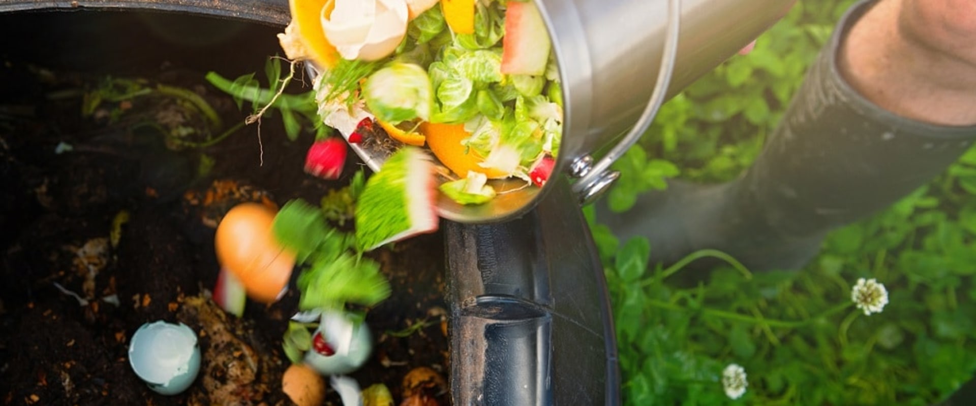 What is the proper disposal of organic waste?